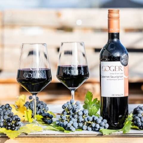 Urlaub auf einem Weingut - ViniMundus